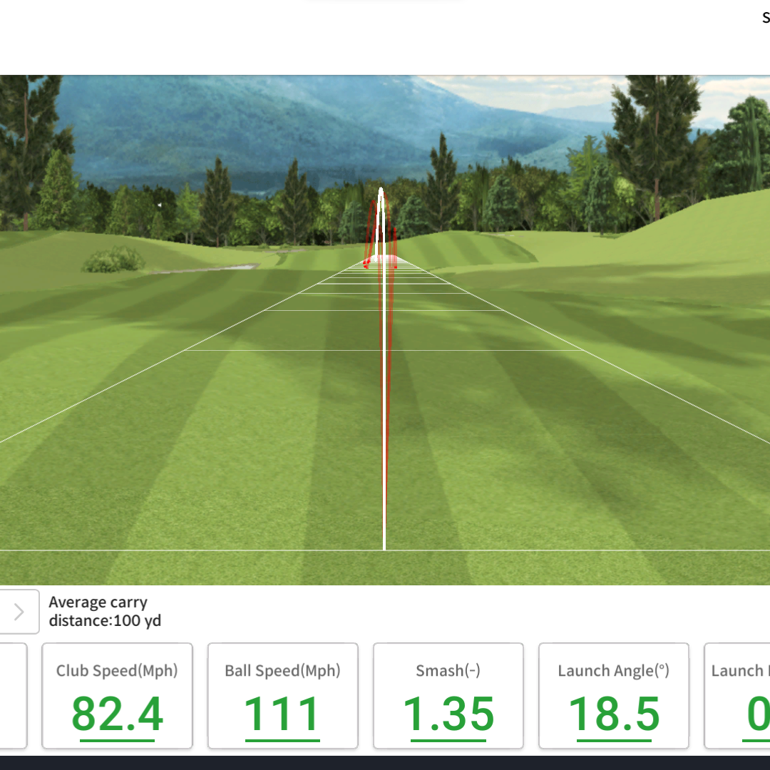 SLX-MicroSim Home Golf Simulators – SwingLogic