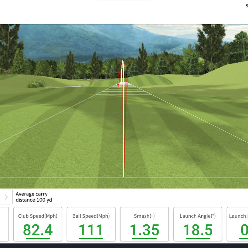 MICROSIM 1.0 (With Telescoping Swing Stick Pro) – SwingLogic
